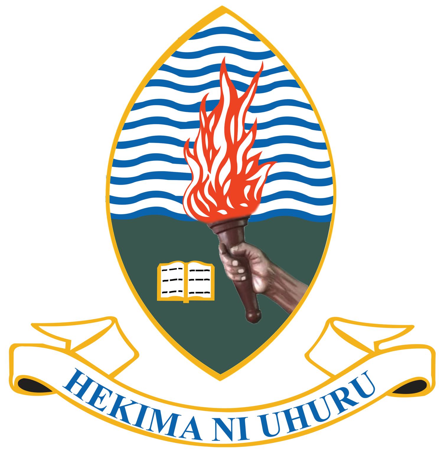 Researchers – UDSM DHIS2 LAB