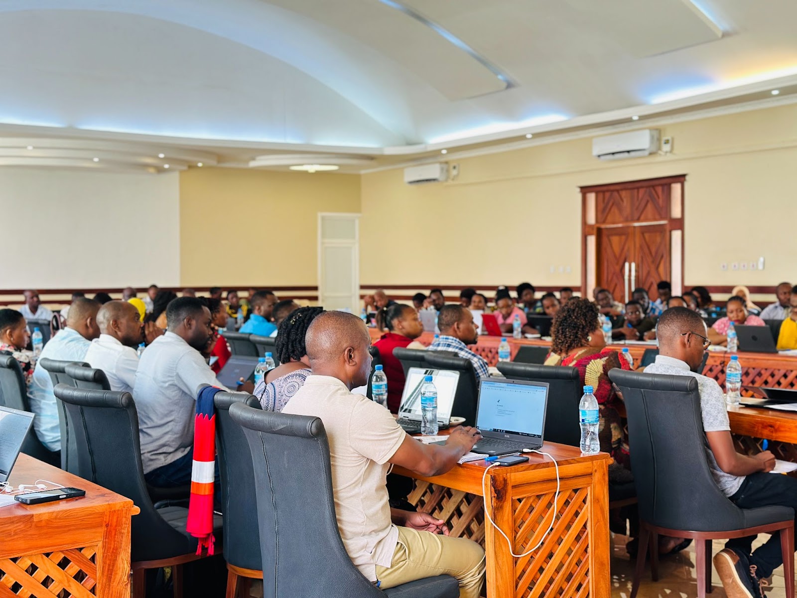 UDSM DHIS2 LAB – Digital Innovation for Sustainable Development